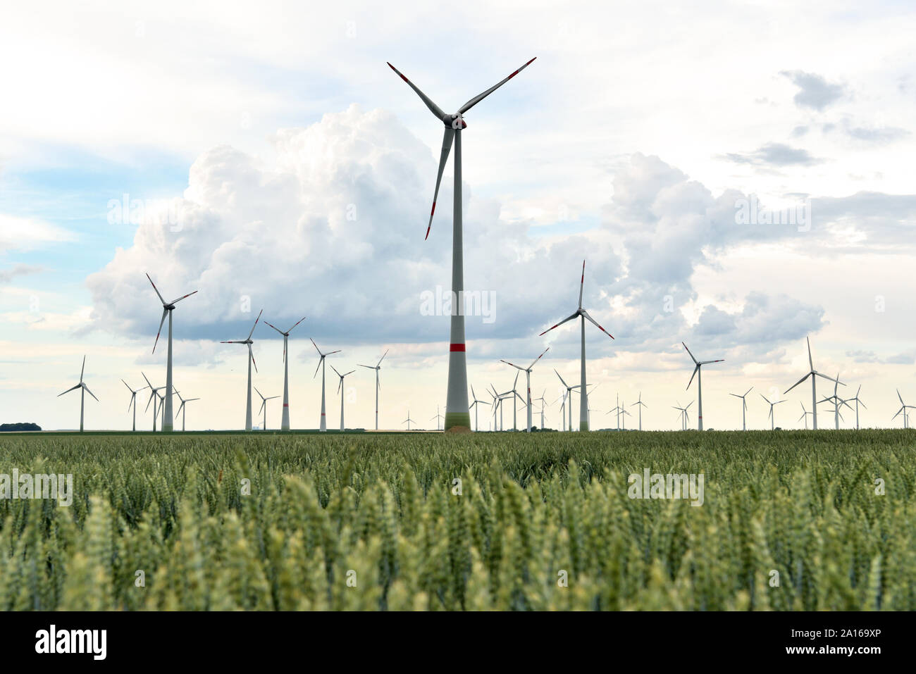 Onshore wind park, Germany Stock Photo - Alamy