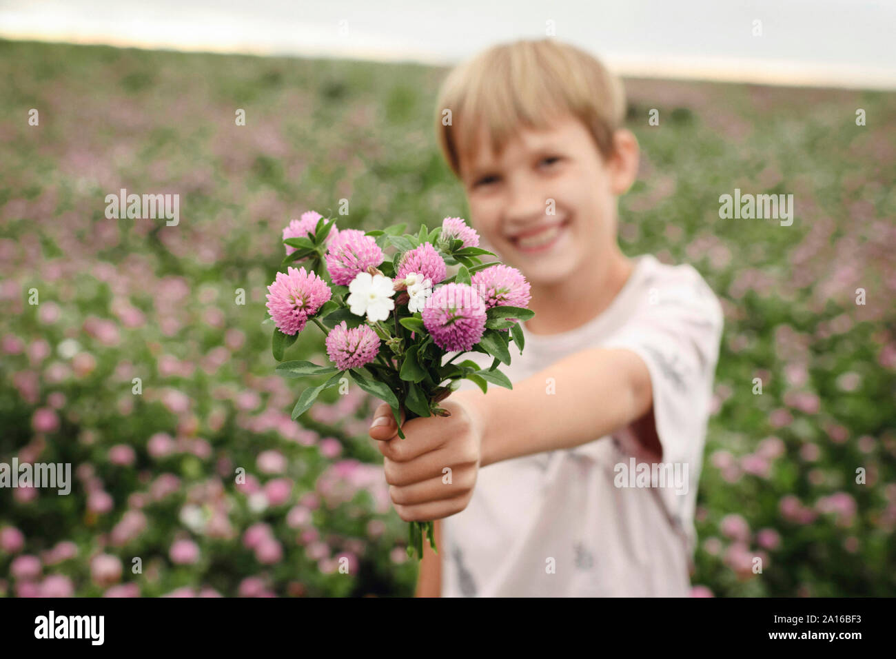 Smiling boy giving clover flowers Stock Photo - Alamy