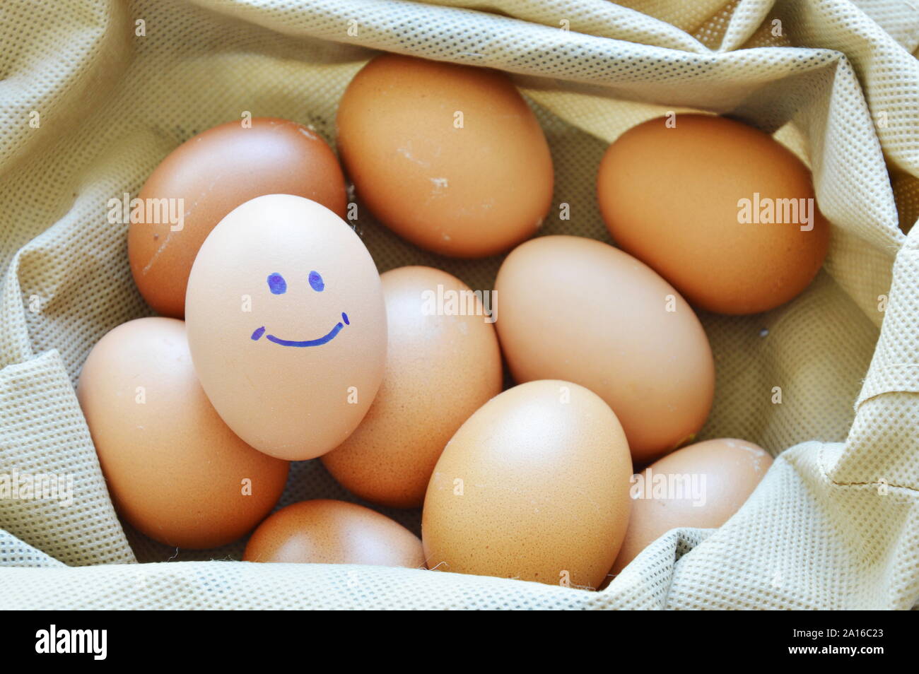 smile brown hen egg in fabric bag Stock Photo - Alamy