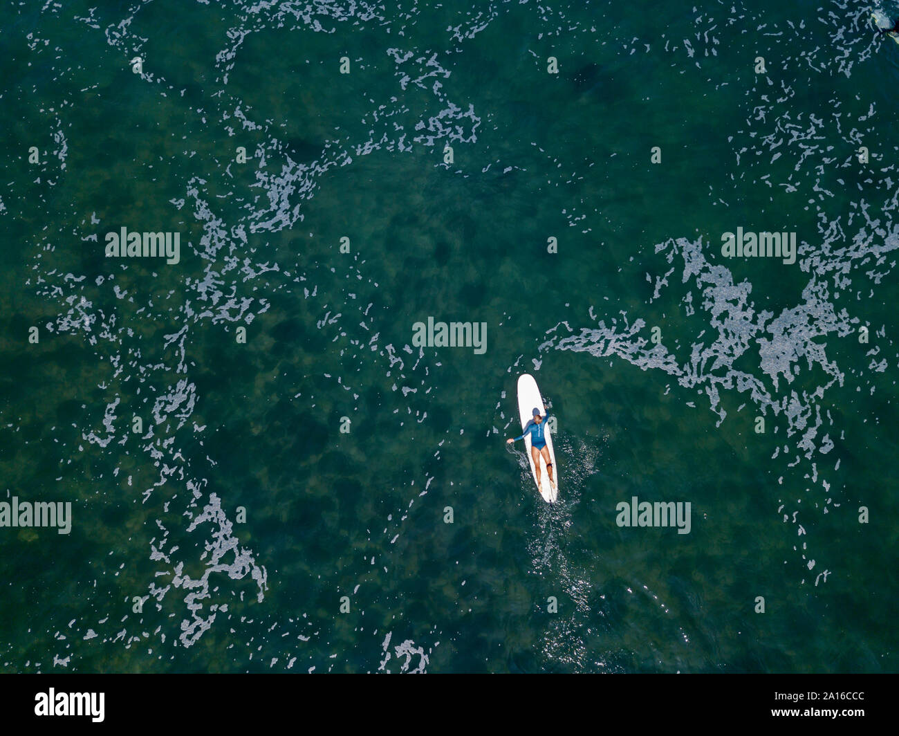 Aerial view of female surfer lying on surf board Stock Photo - Alamy