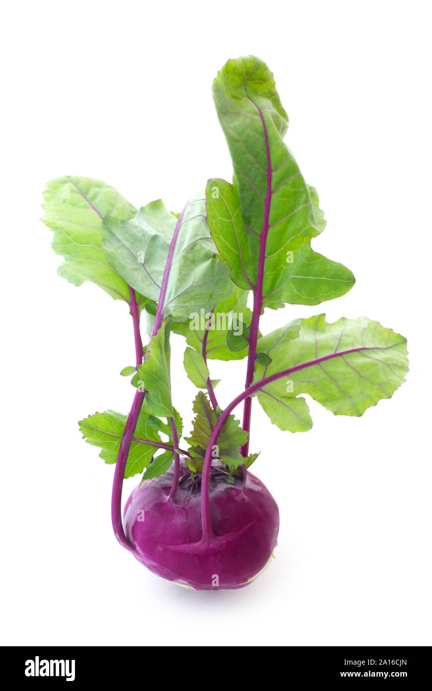 Red Kohlrabi Isolated On White Stock Photo - Alamy