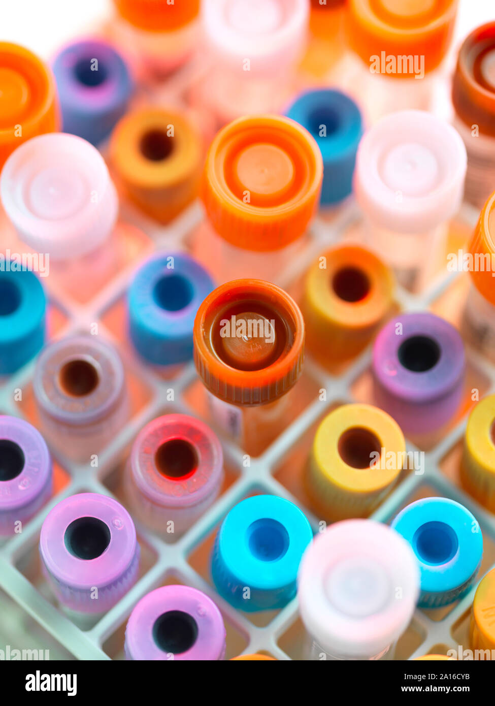 Laboratory test samples hi-res stock photography and images - Alamy