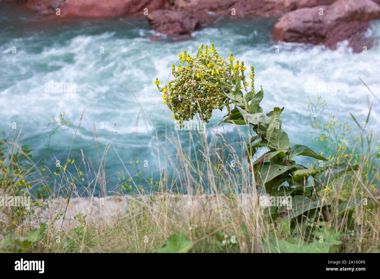 A beautiful river flows between the rocks Stock Photo - Alamy