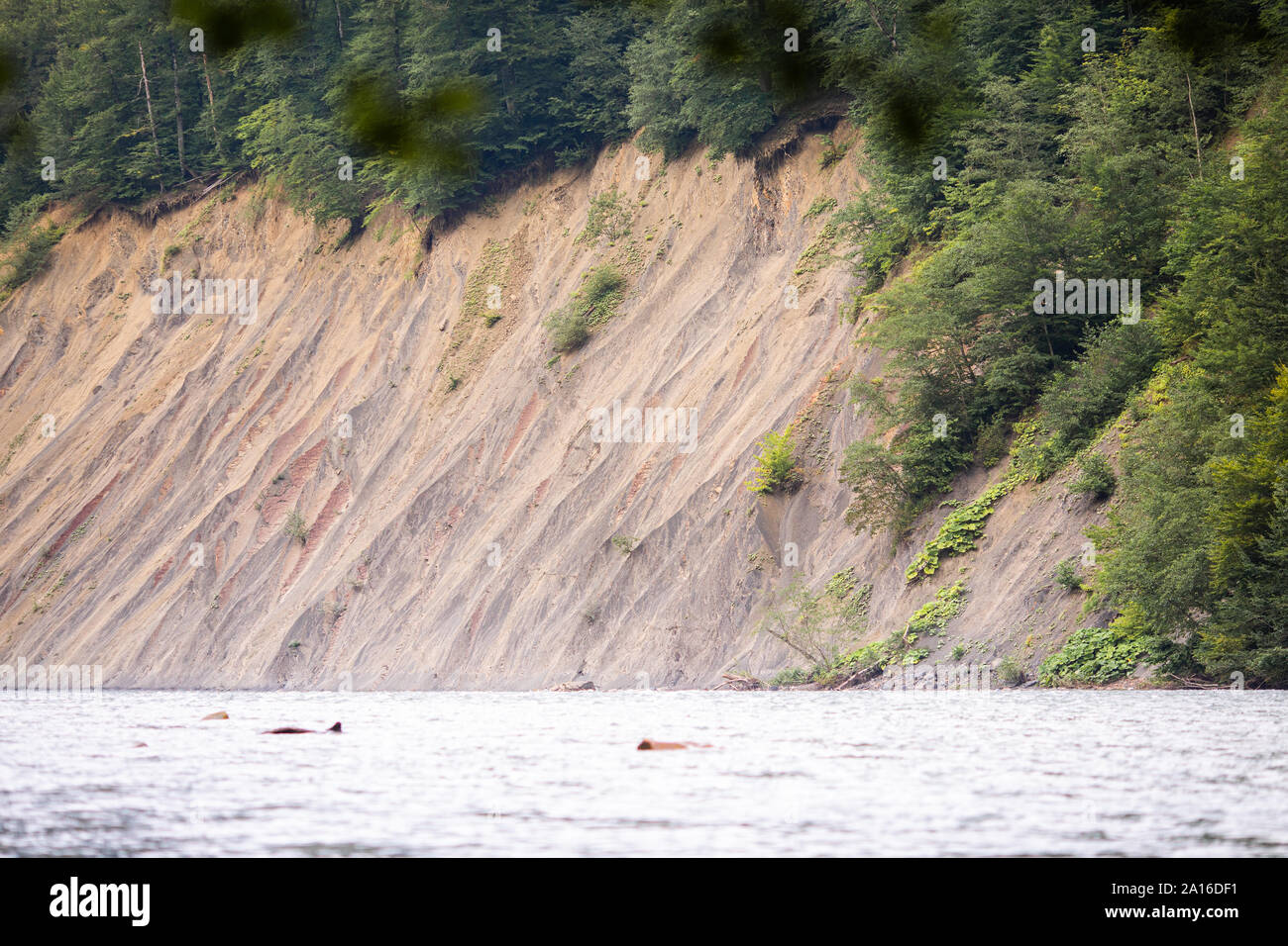 A beautiful river flows between the rocks Stock Photo - Alamy