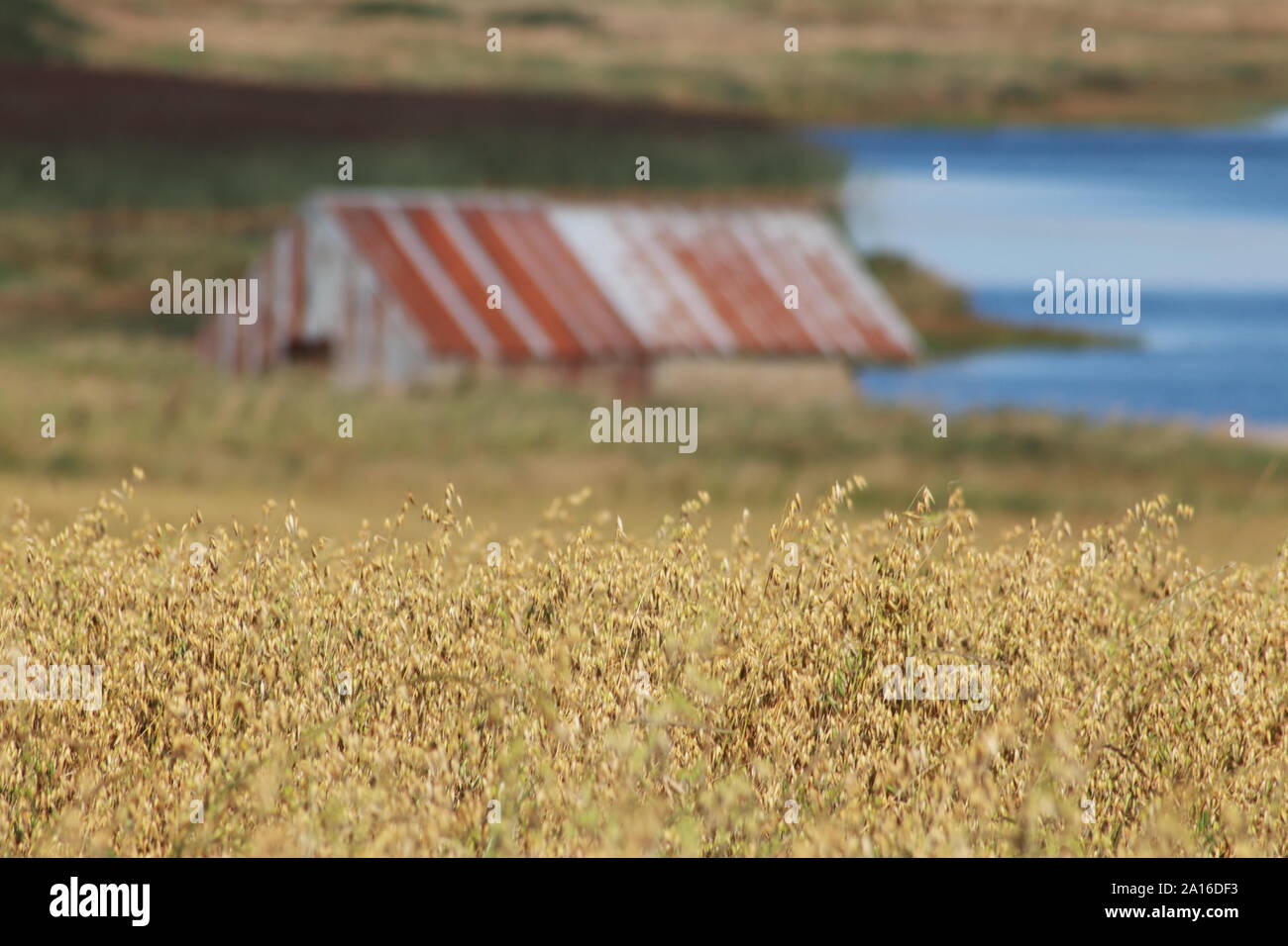 Lost lake cabin hi-res stock photography and images - Alamy