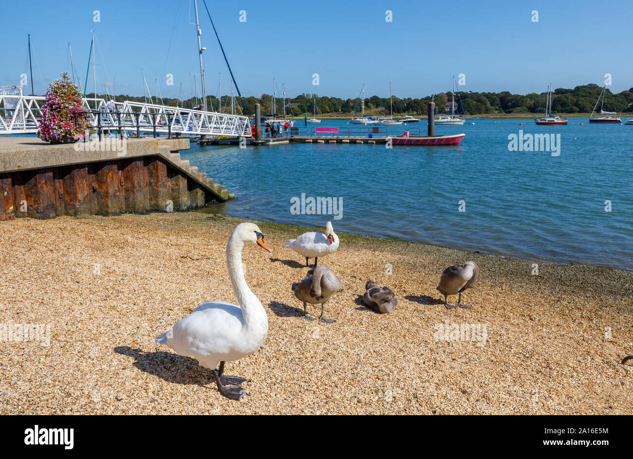 Hamble Village Hampshire England High Resolution Stock Photography and ...
