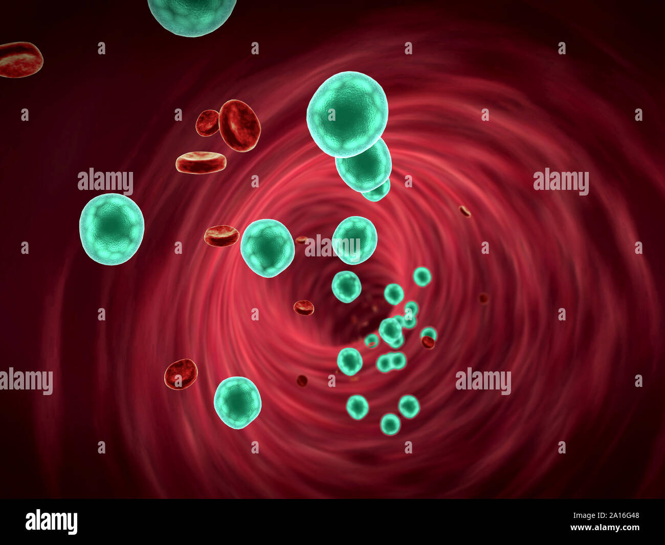 fat cell in the blood Stock Photo - Alamy