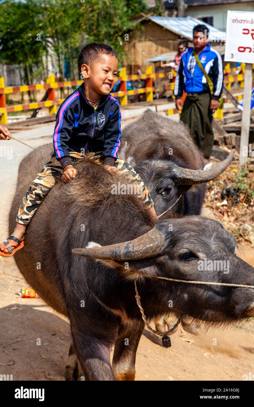 Child buffalo hi-res stock photography and images - Alamy