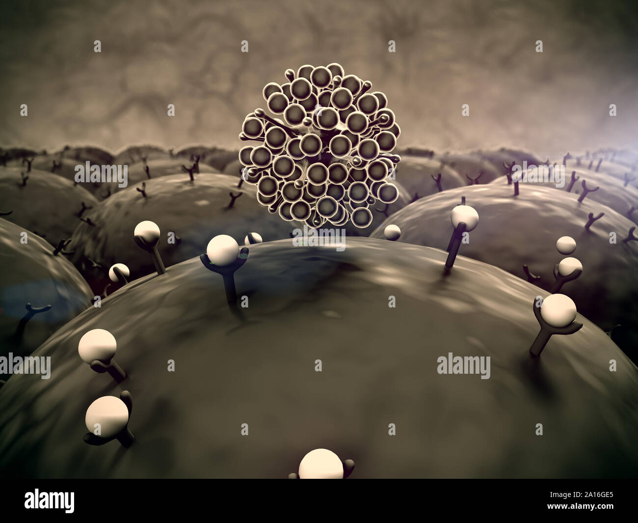 field of cells with receptors, Human Immune System attack the virus ...