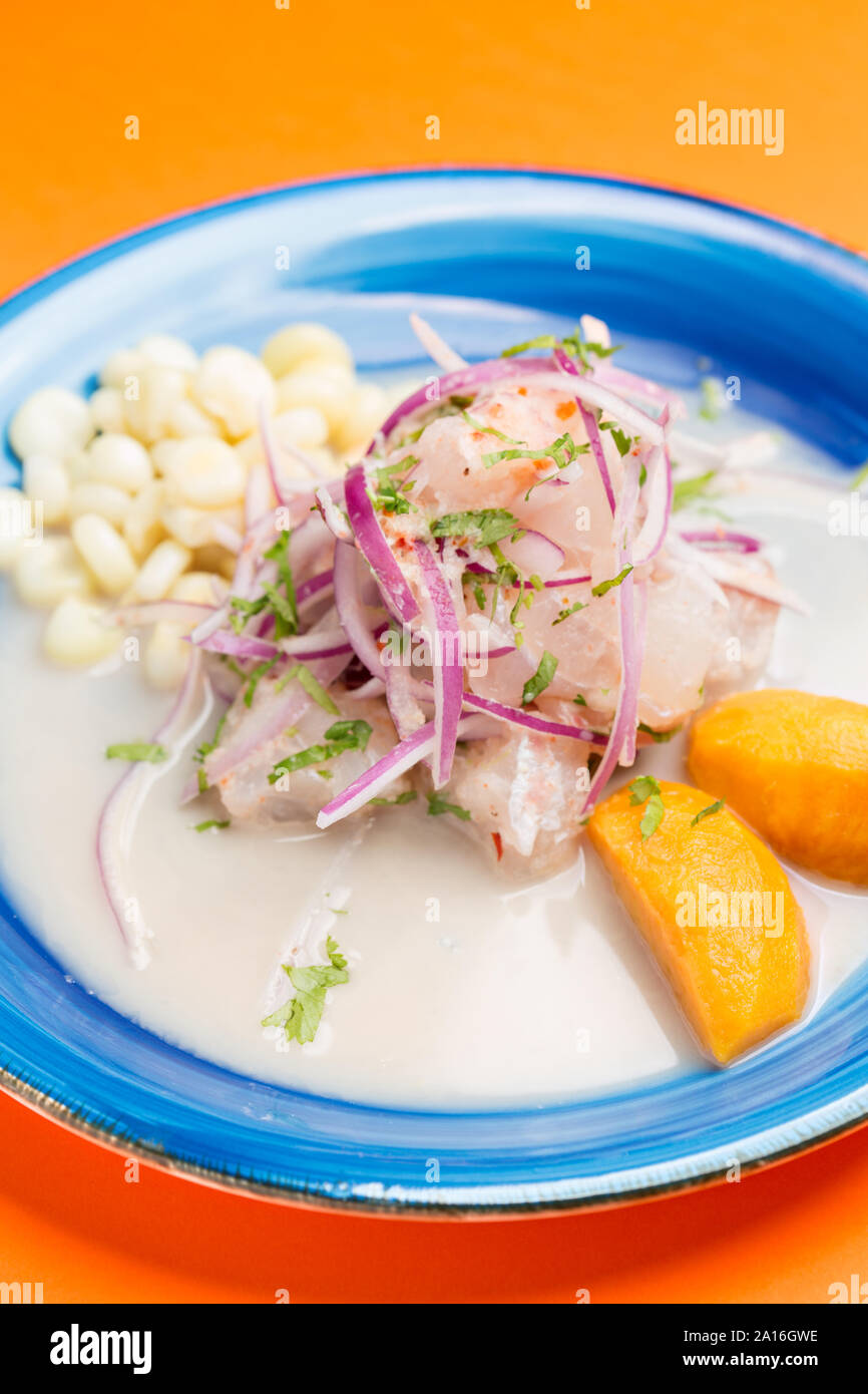 Seafood ceviche closeup, typical dish from Peru Stock Photo - Alamy