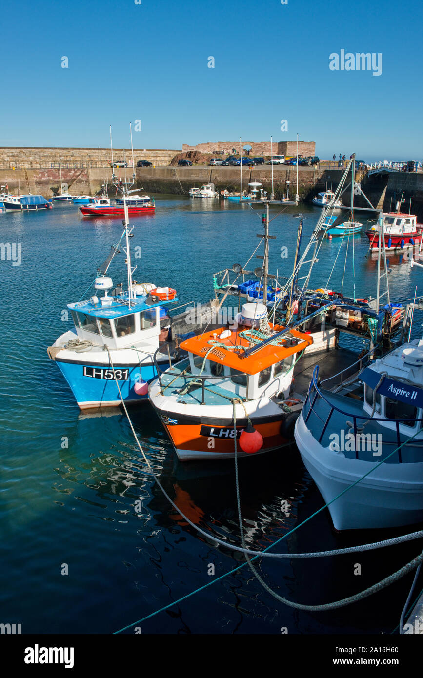 Fishing boats in Victoria Harbour, Dunbar. Scotland Stock Photo - Alamy