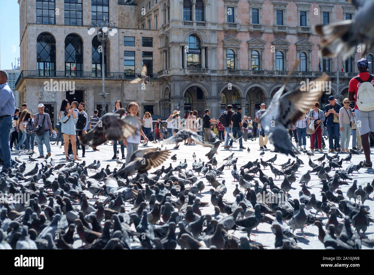 Pigeons flying by building hi-res stock photography and images - Alamy