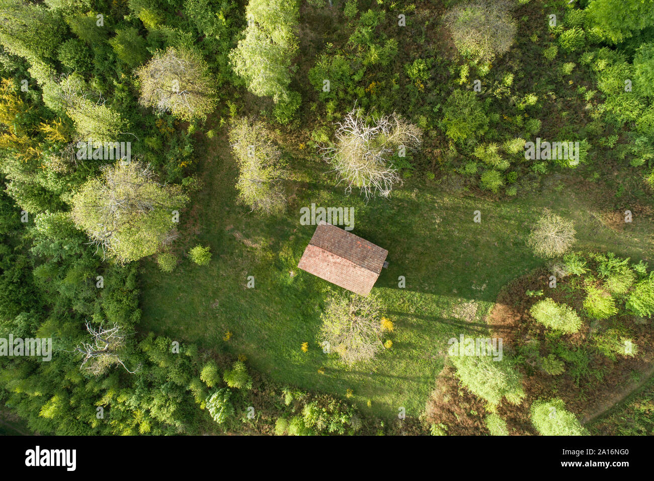 Aerial top view of a small house in the woods Stock Photo - Alamy