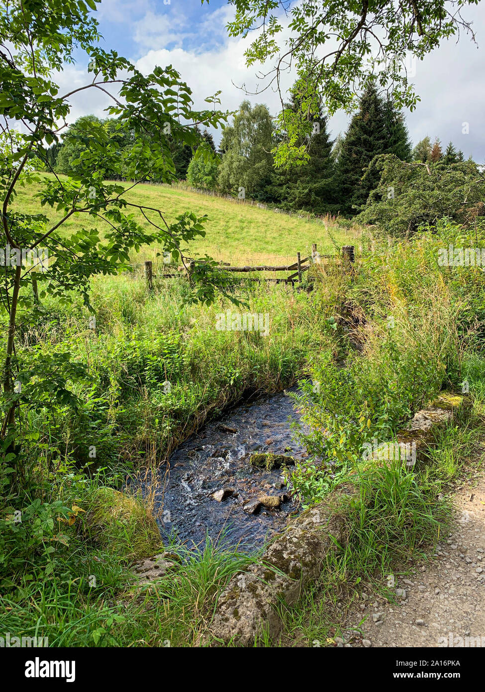 Cardrona forest hi-res stock photography and images - Alamy