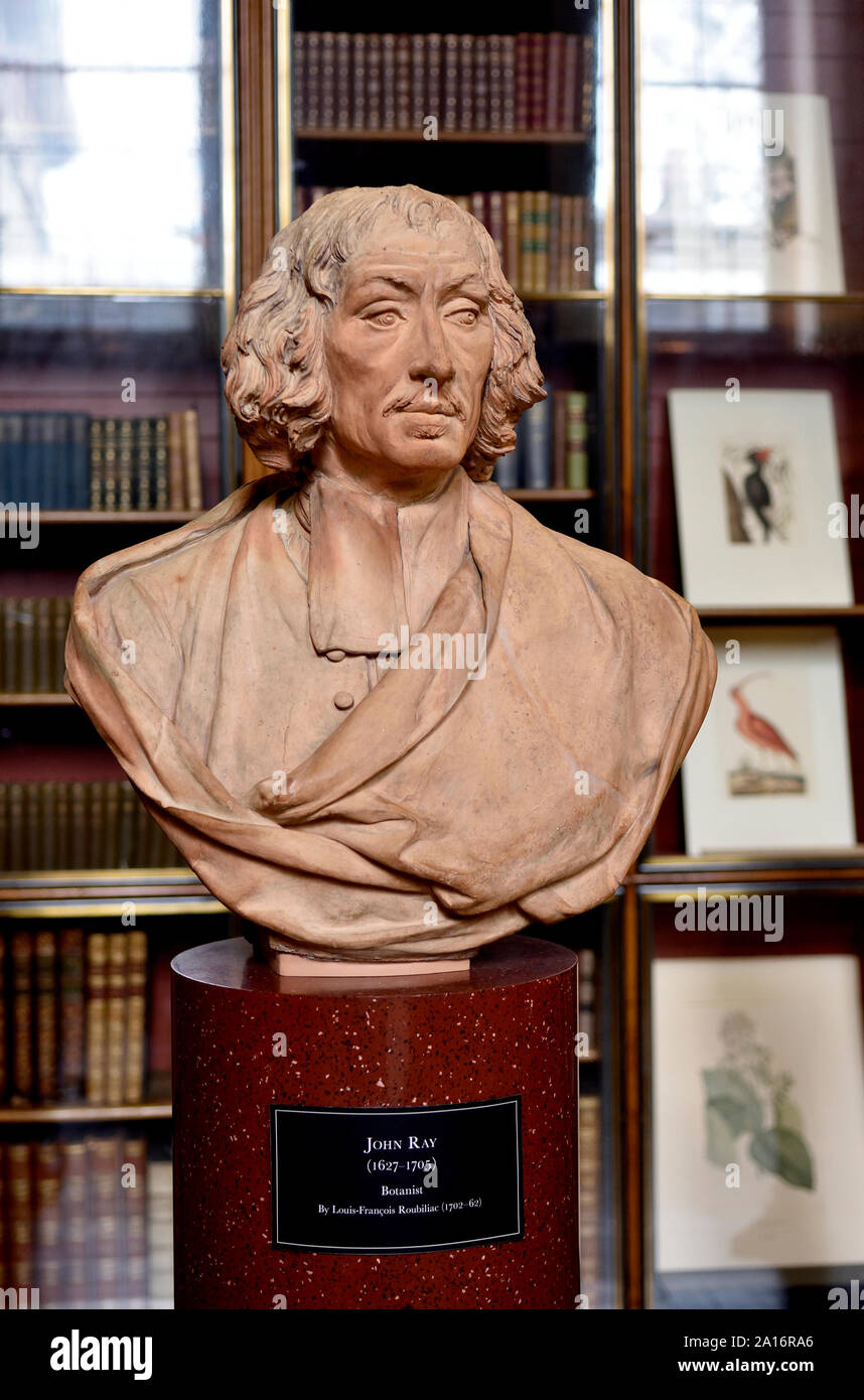 John ray statue hi-res stock photography and images - Alamy