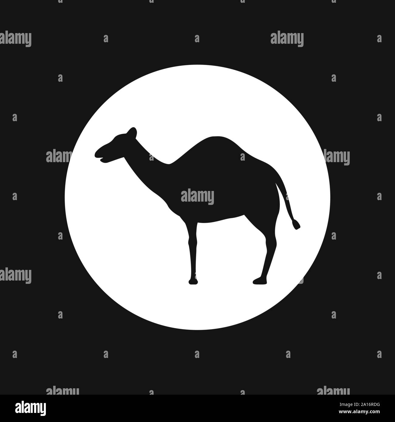 Camel icon. Vector symbol African animal for web and design Stock ...