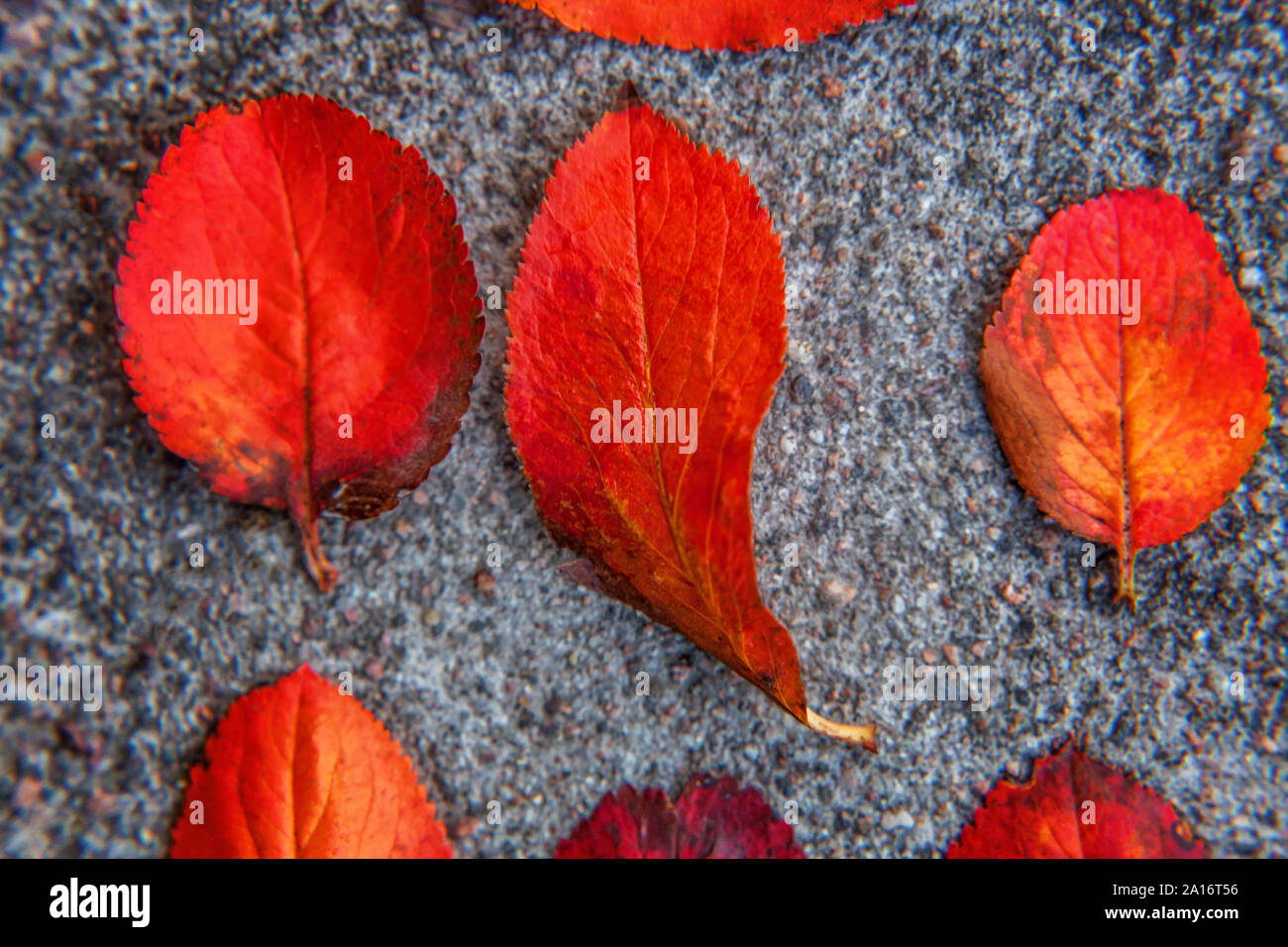 Inspirational Fall Nature Pictures
