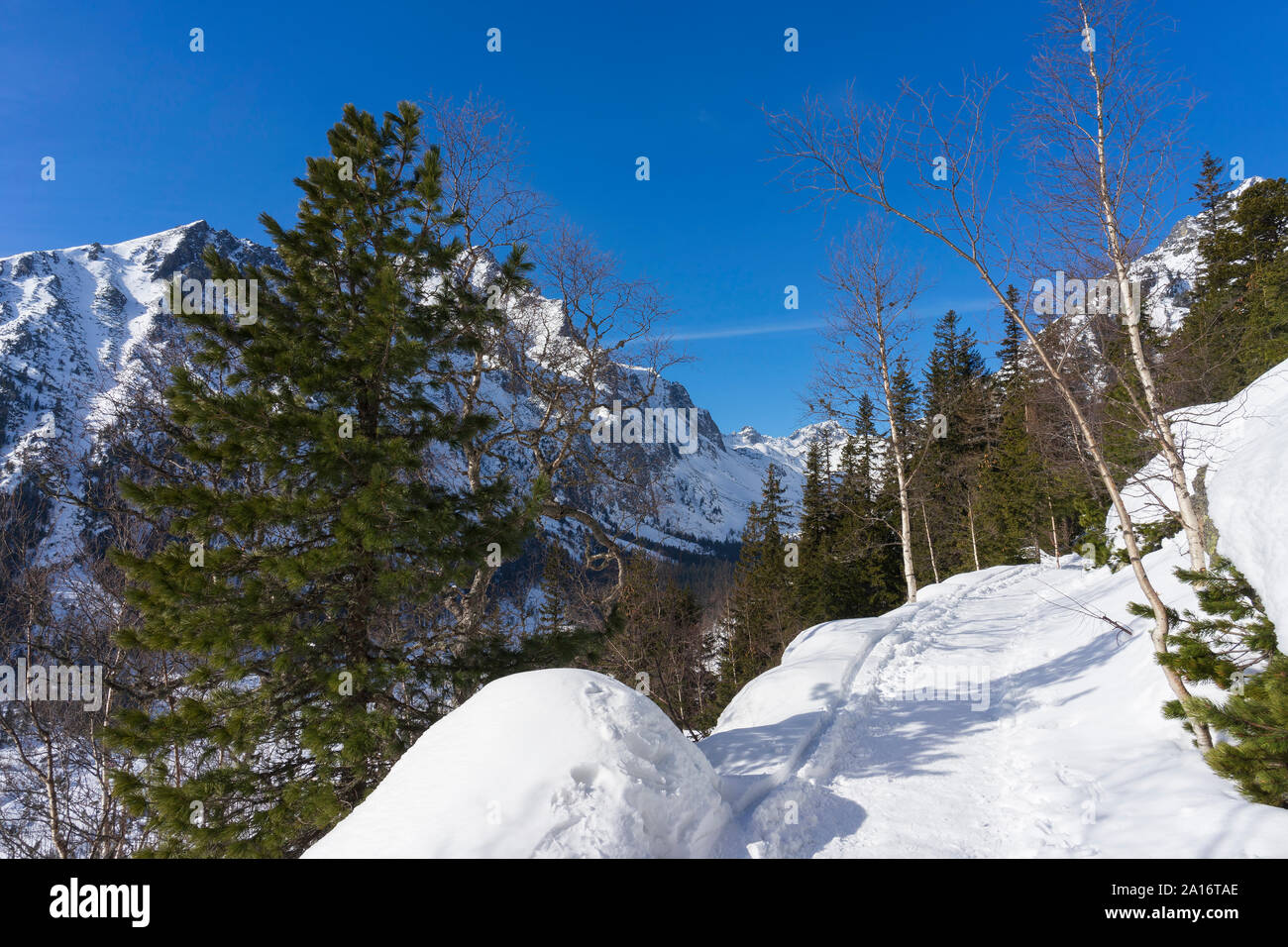Slavkovsky hi-res stock photography and images - Alamy
