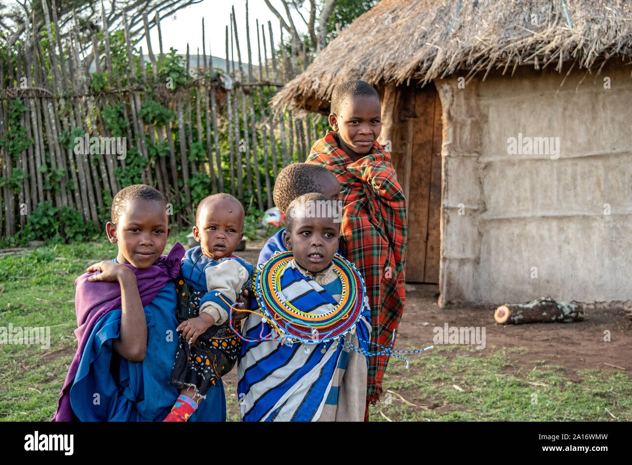 Masai children in traditional dress are responsible for younger ...