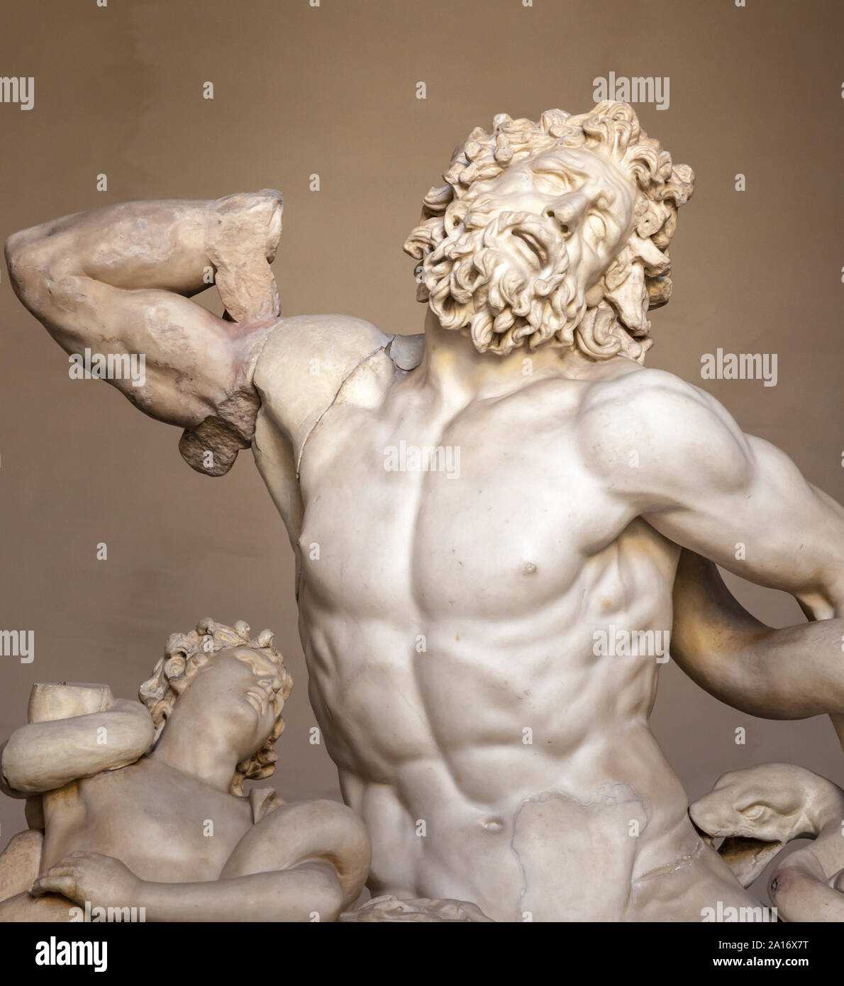 Detail of Sculpture of Laocoön and His Sons, Vatican Museum, Vatican ...