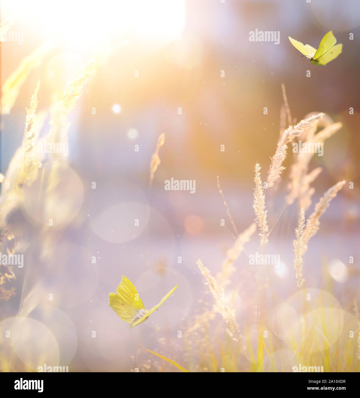 Abstract countryside hi-res stock photography and images - Alamy