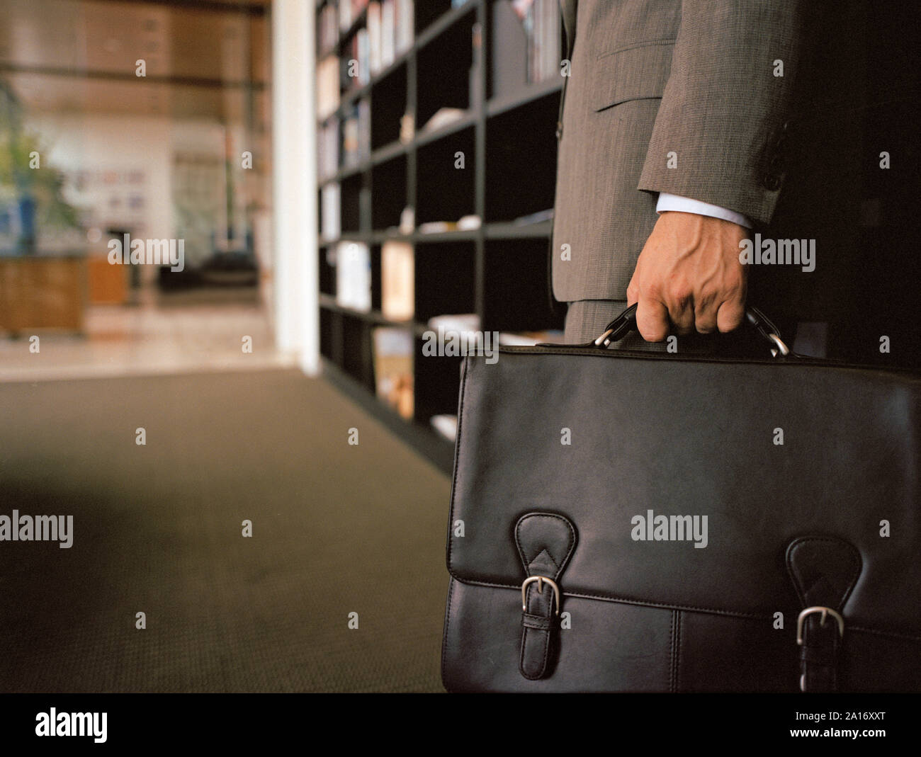 Businessman standing with briefcase Stock Photo - Alamy