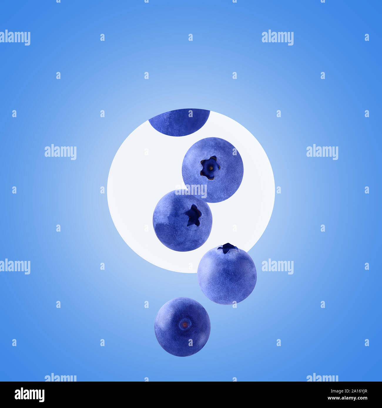 Fresh falling blueberries isolated on trendy colored background Stock ...