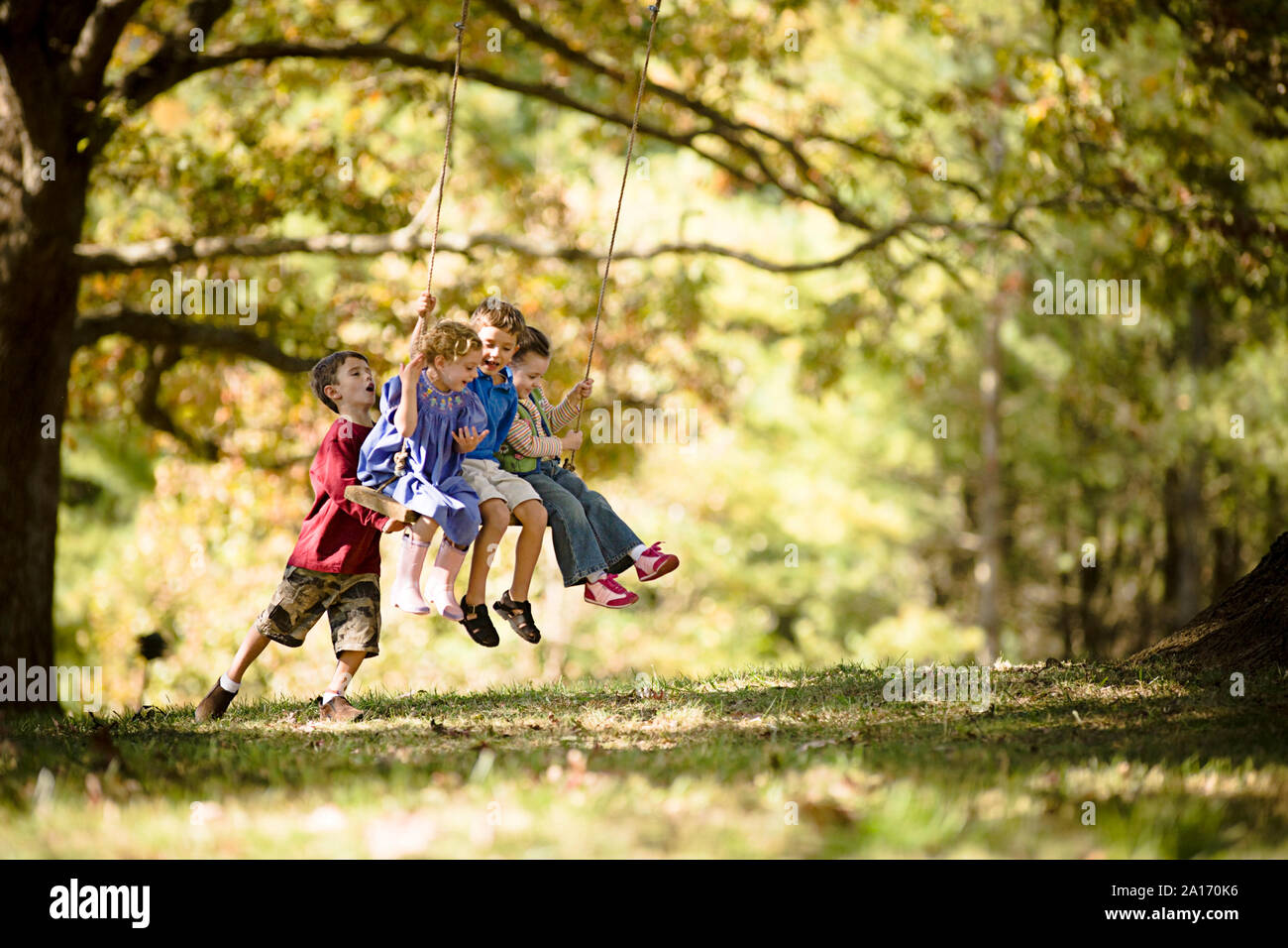 Boy pushing friends on a swing Stock Photo - Alamy