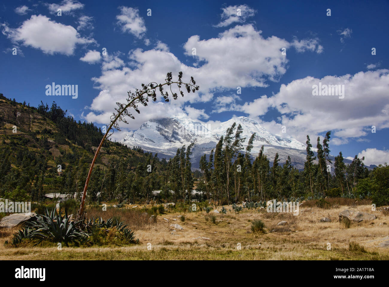Campo Santo, the memorial and cemetery built on the site of the ...