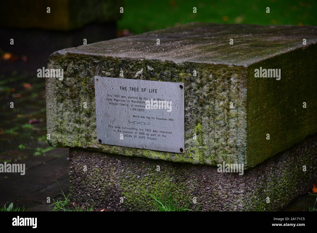 Manchesters tree of life hi-res stock photography and images - Alamy