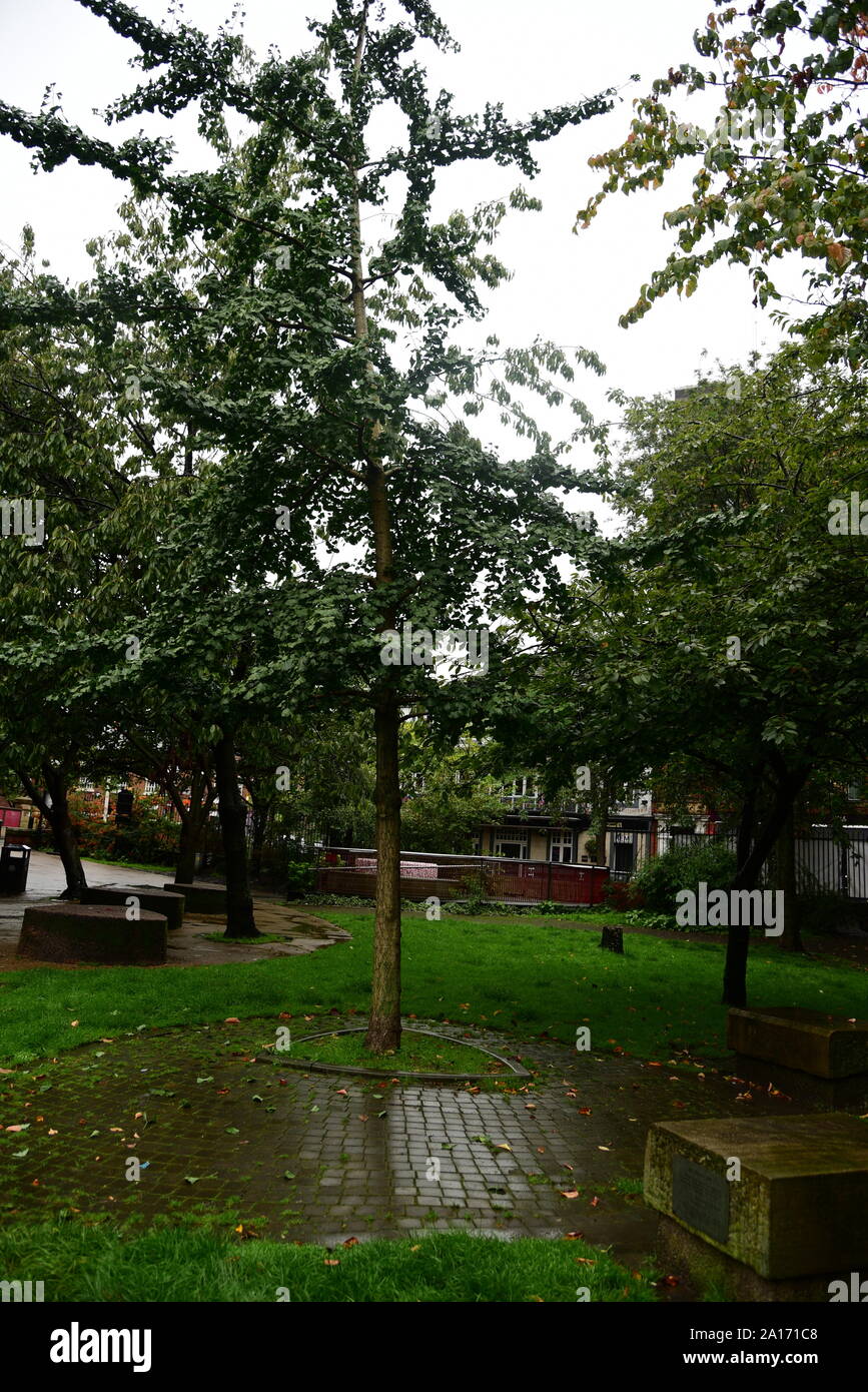 Manchesters tree of life hi-res stock photography and images - Alamy