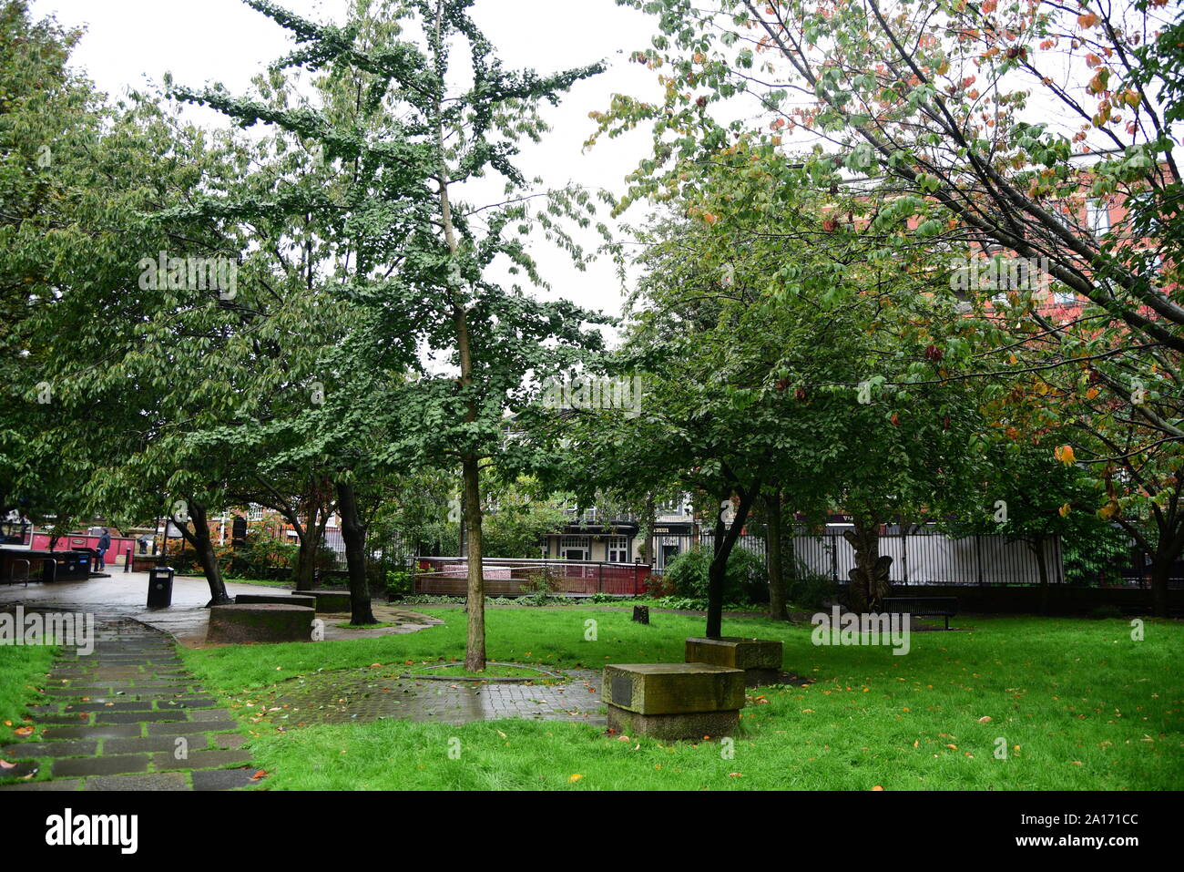 Tree of Life in Manchester Stock Photo - Alamy