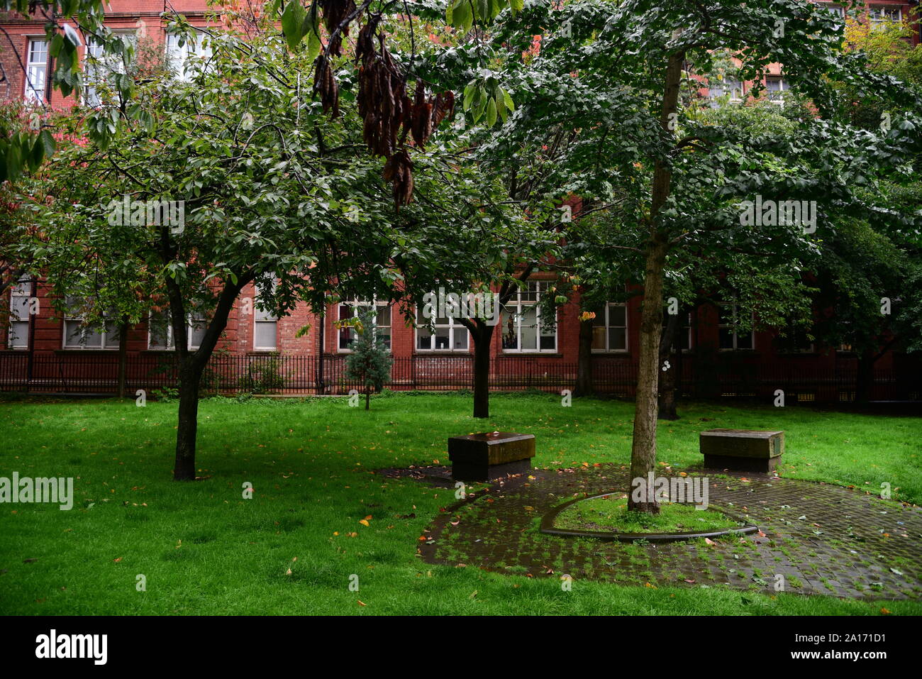 Tree of Life in Manchester Stock Photo - Alamy