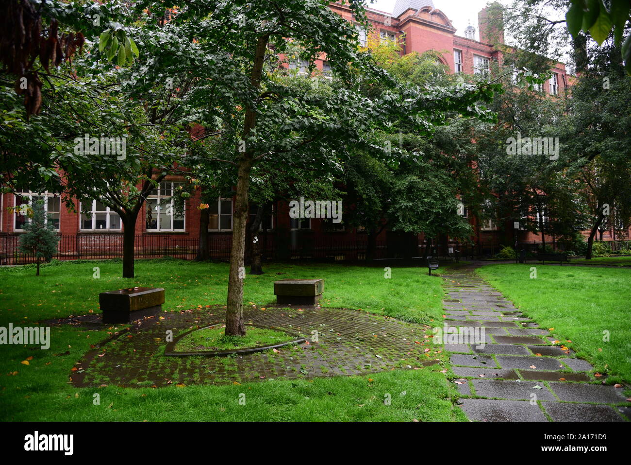 Tree of Life in Manchester Stock Photo - Alamy