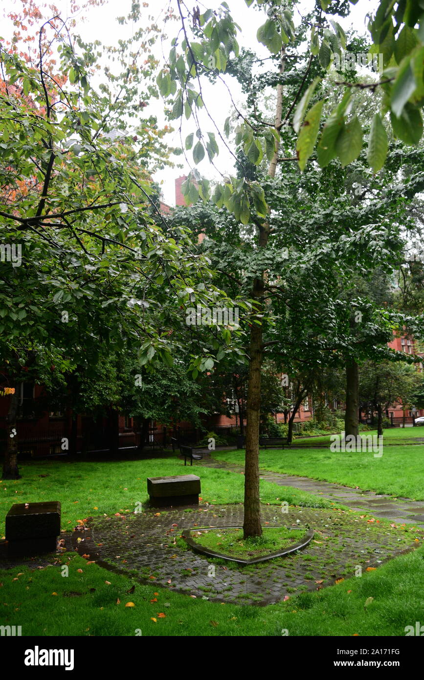 Manchesters tree of life hi-res stock photography and images - Alamy