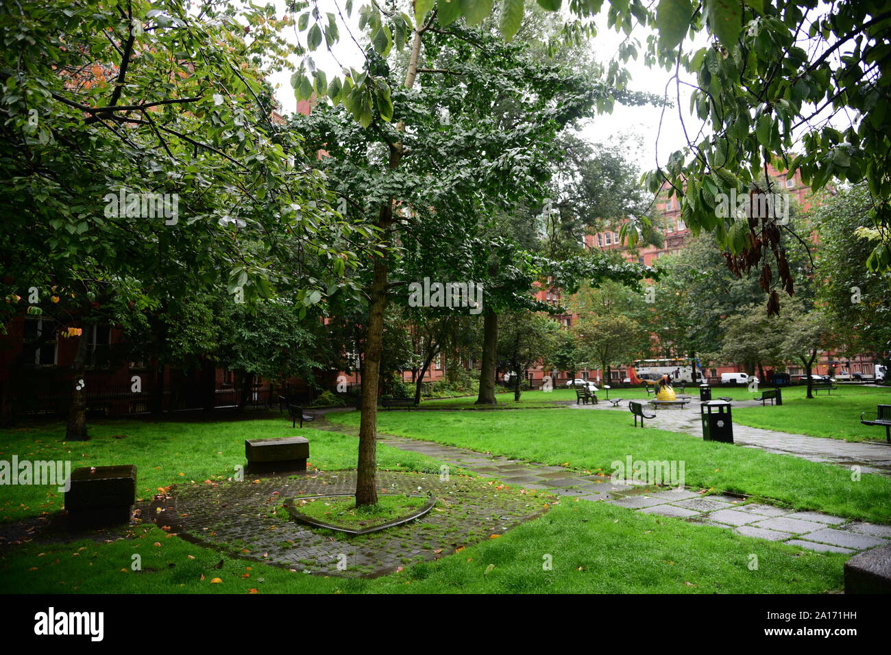 Tree of Life in Manchester Stock Photo - Alamy