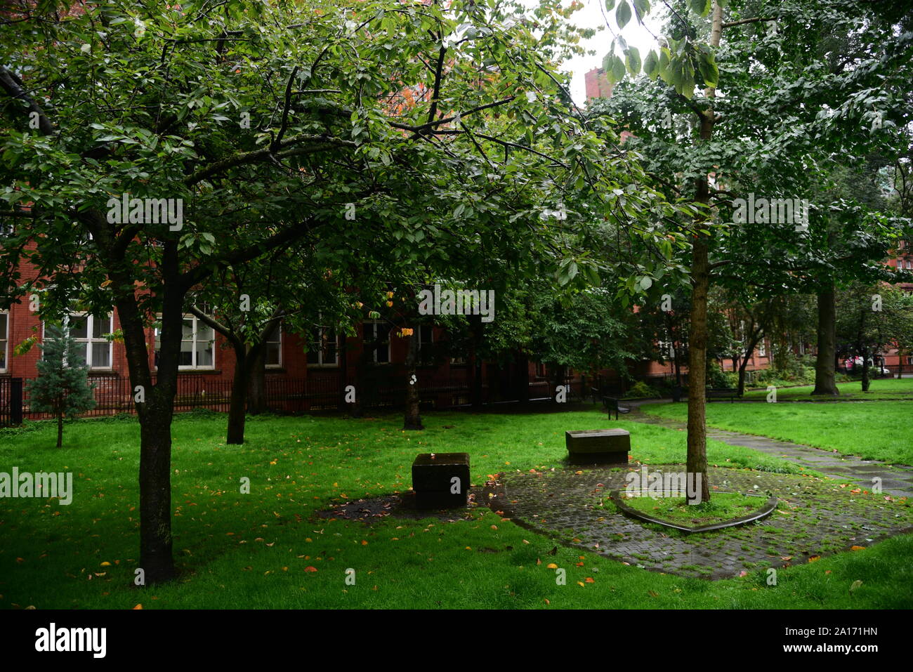 Tree of Life in Manchester Stock Photo - Alamy