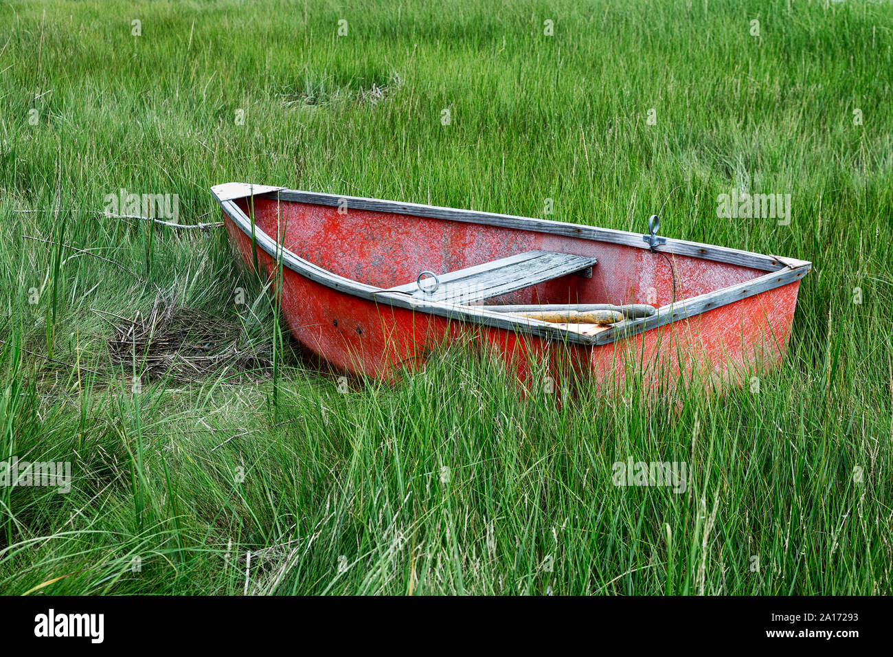 Marsh grass cape cod hi-res stock photography and images - Alamy