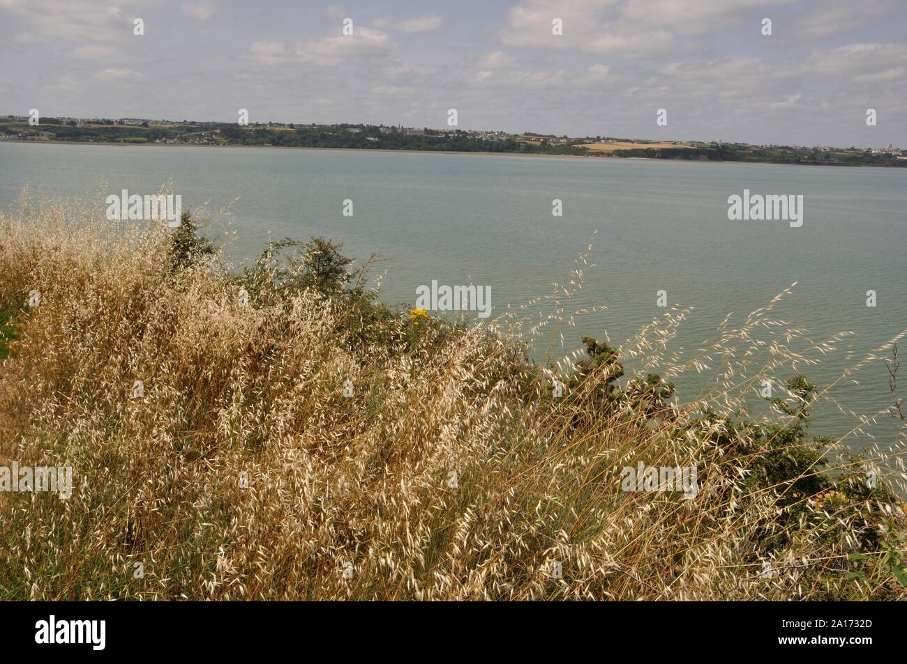Saint brieuc nature hi-res stock photography and images - Alamy