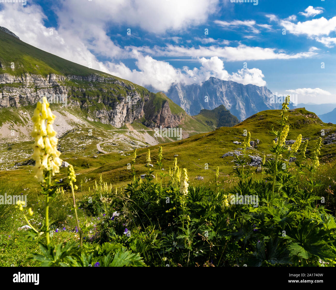 Mangart mountain, Triglav national park, Julian Alps, Slovenia Stock ...