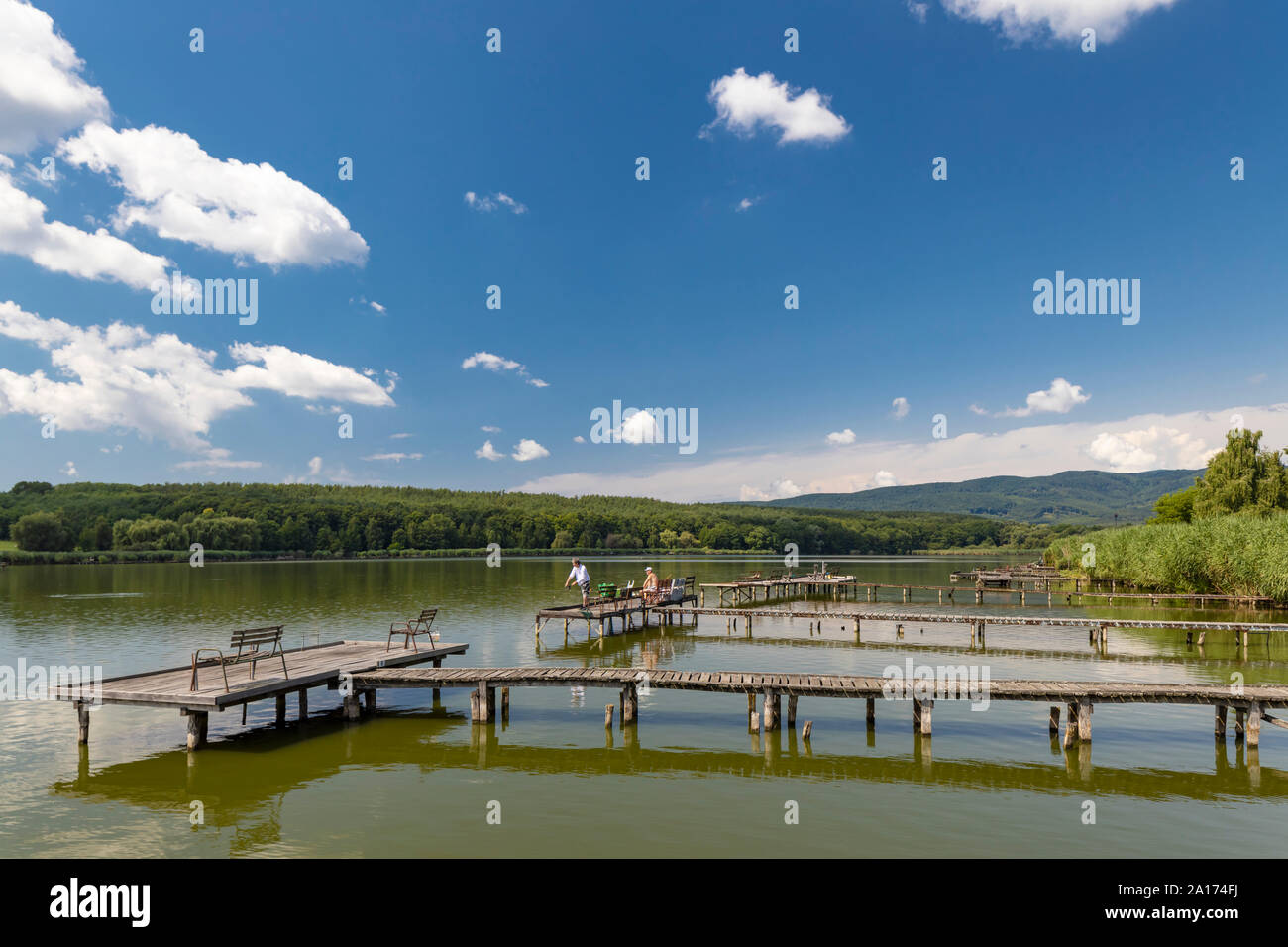 Jenoi hi-res stock photography and images - Alamy