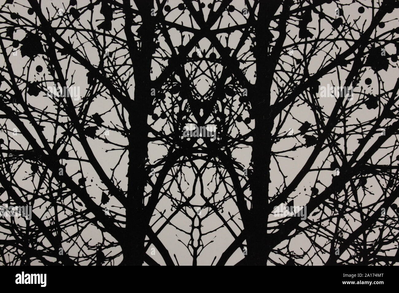 Intertwined Branches High Resolution Stock Photography and Images - Alamy