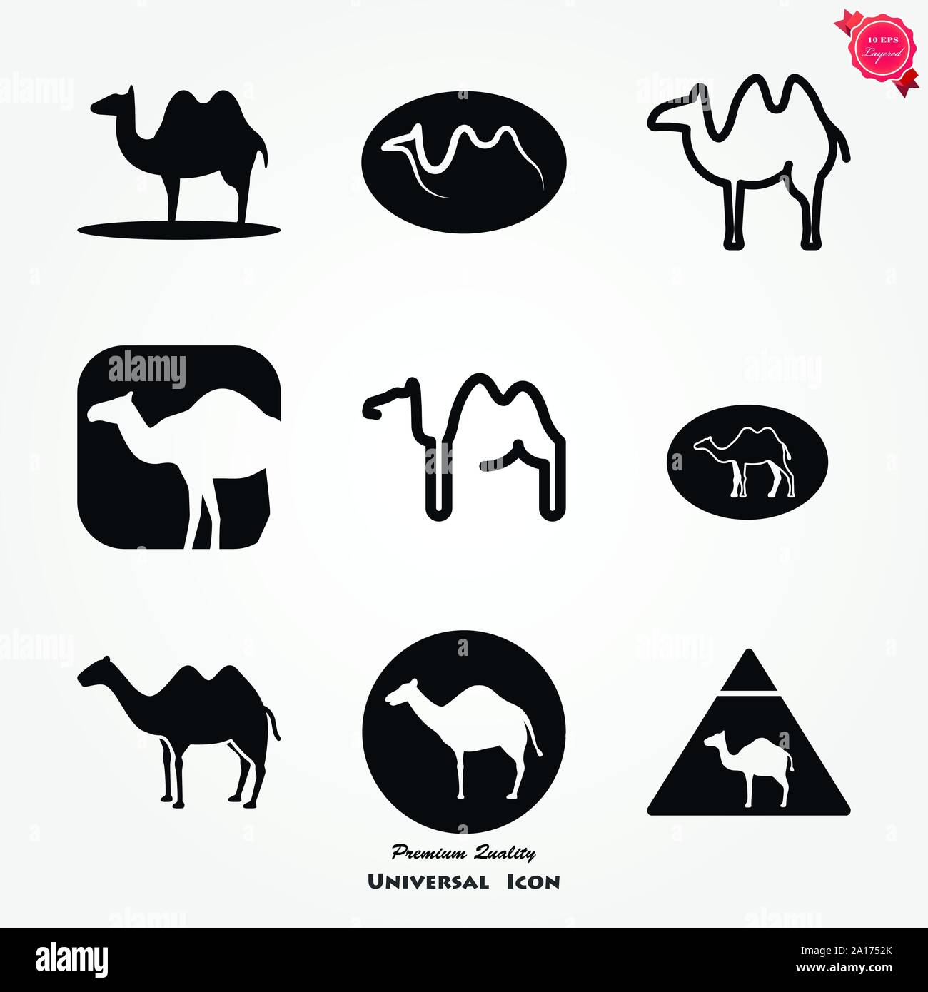 Camel icon. Vector symbol African animal for web and design Stock ...