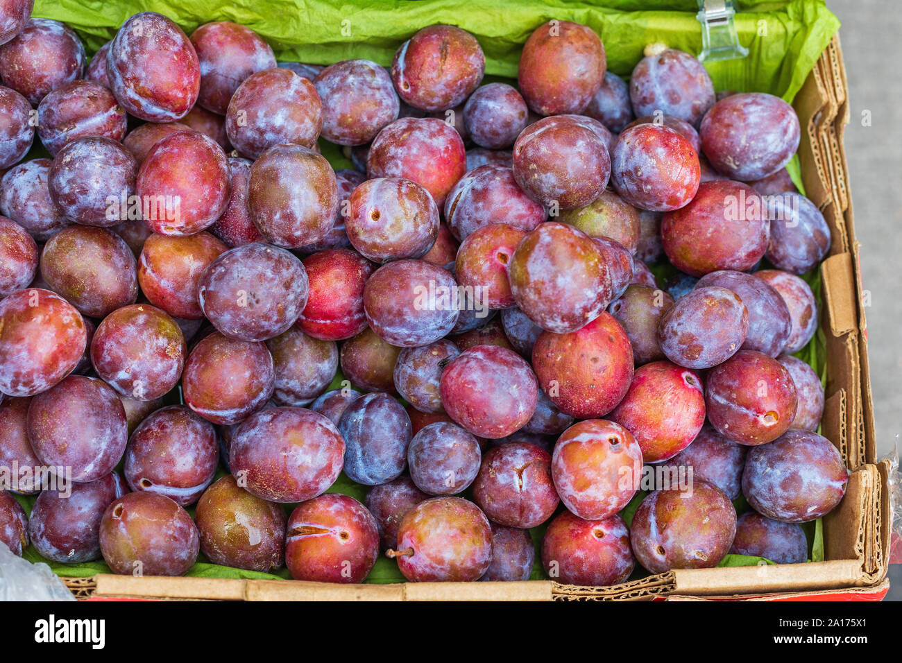 Big plum hi-res stock photography and images - Alamy