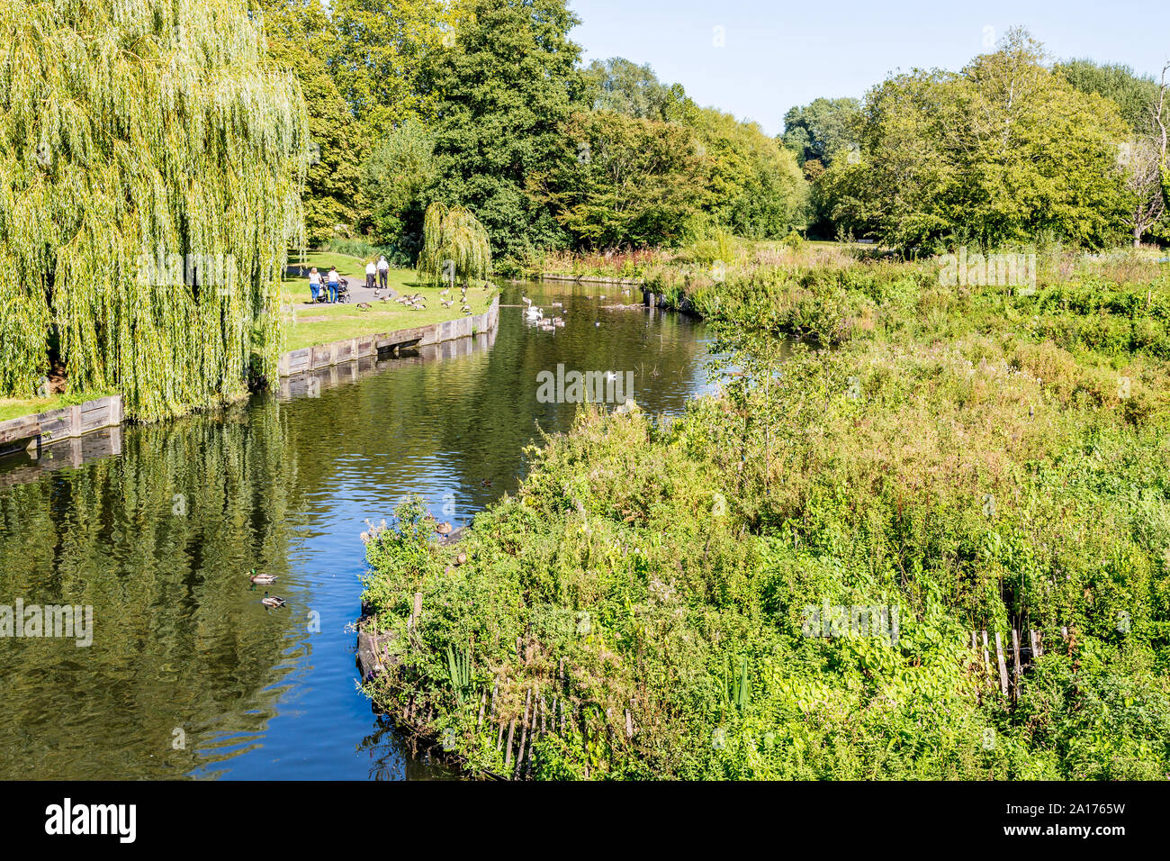 River wandle beddington park hi-res stock photography and images - Alamy