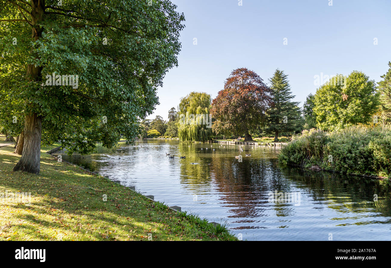 Beddington Park High Resolution Stock Photography and Images - Alamy