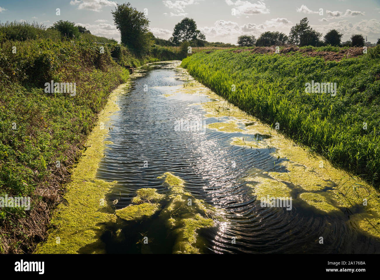 The Reading Sewer or Ditch, near Peening Quarter, running across ...