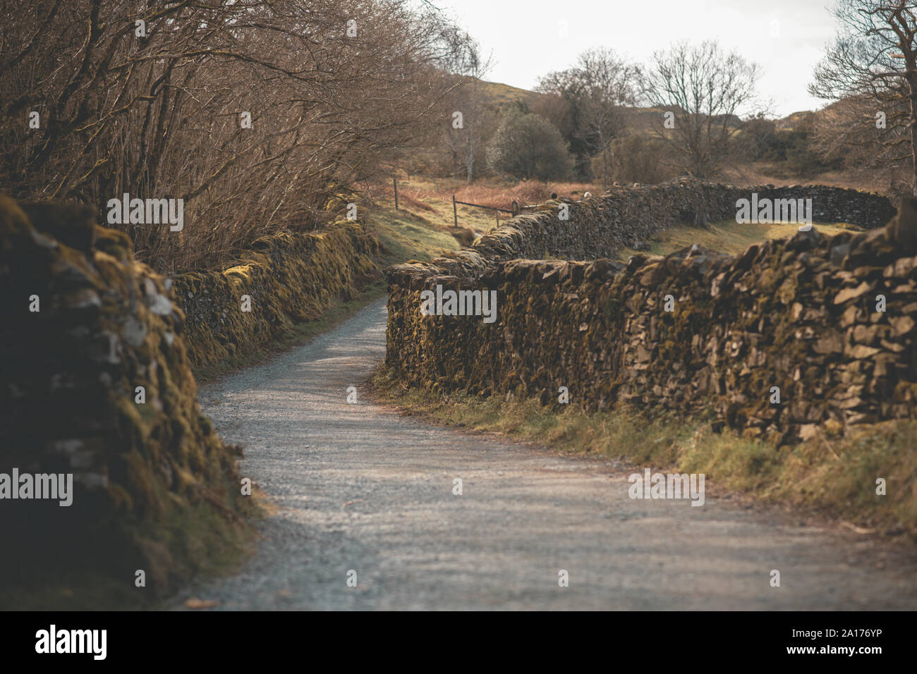 Typical english countryside hi-res stock photography and images - Alamy