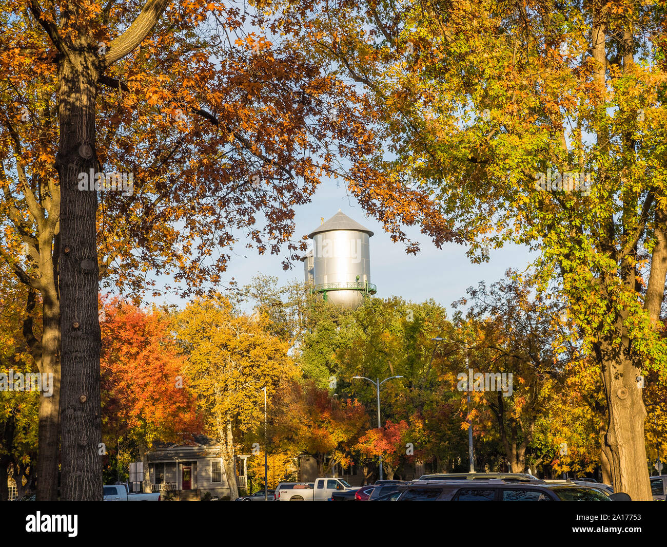 Water tanks shine in the autumn midday sun surrounded by fall colors of ...