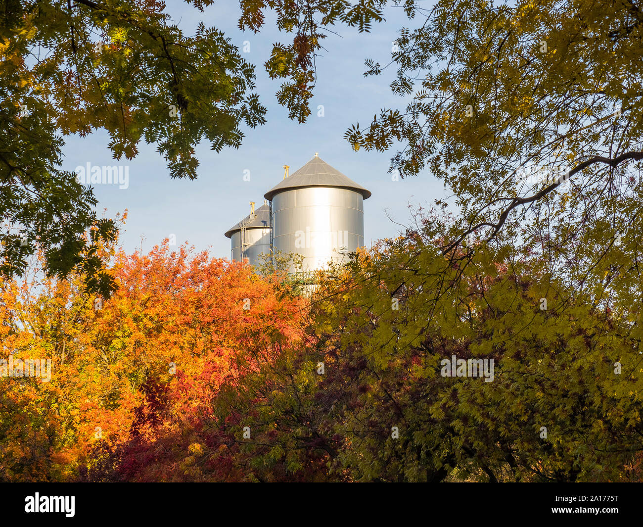 Chico california city hi-res stock photography and images - Alamy